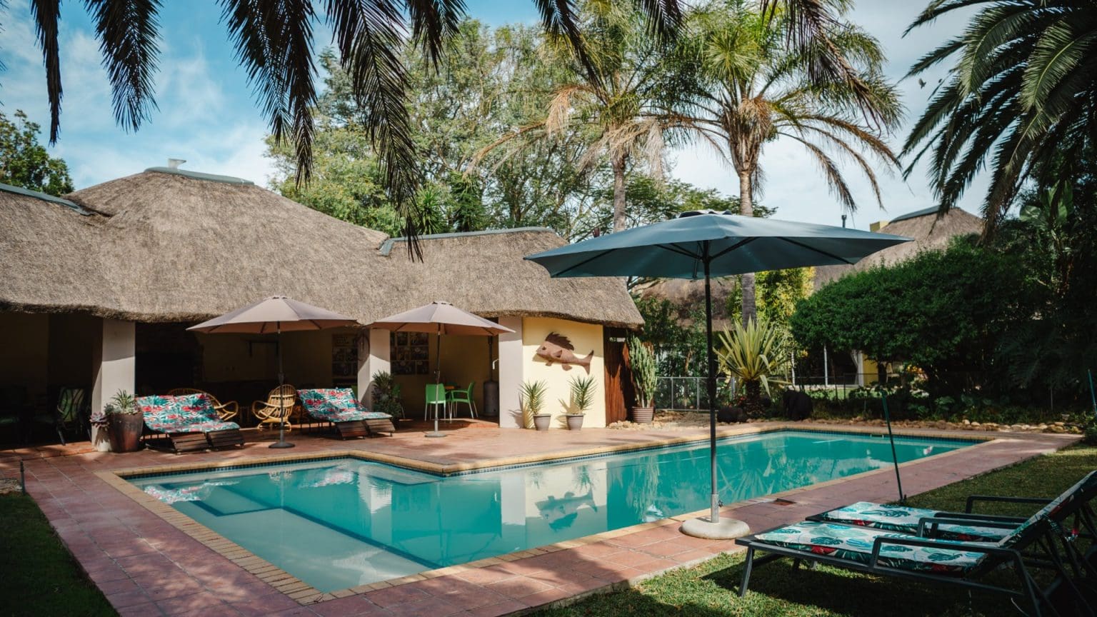 Experience the Magic of Addo Elephant Park This Season: A Stay at ...